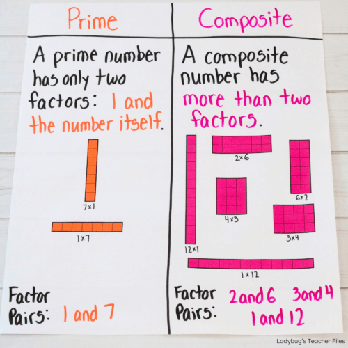 Prime and Composite Project: A Hands-On Math Exploration