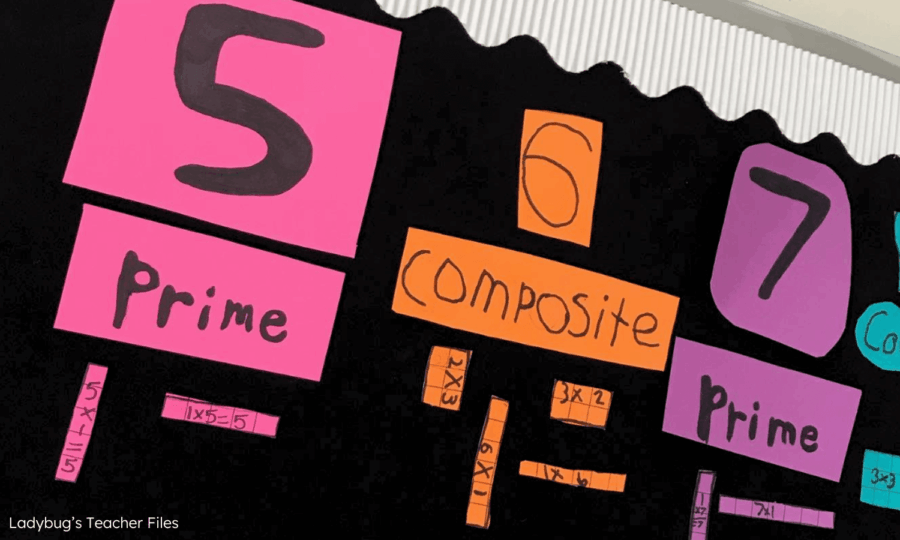 Prime and Composite Project: A Hands-On Math Exploration