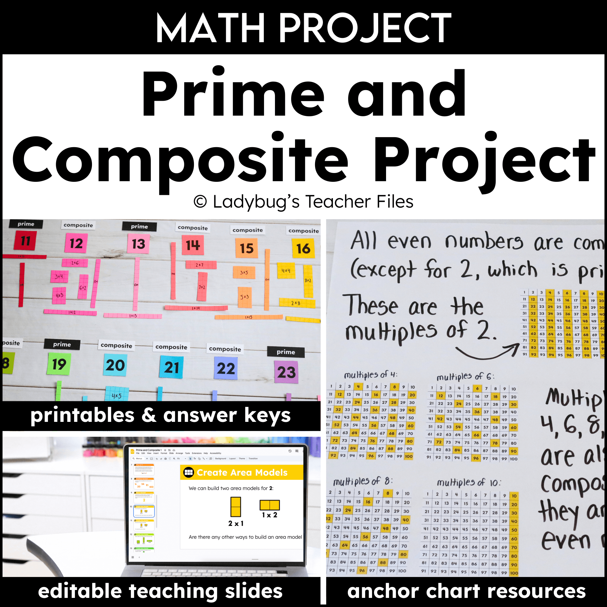 Prime and Composite Numbers Project