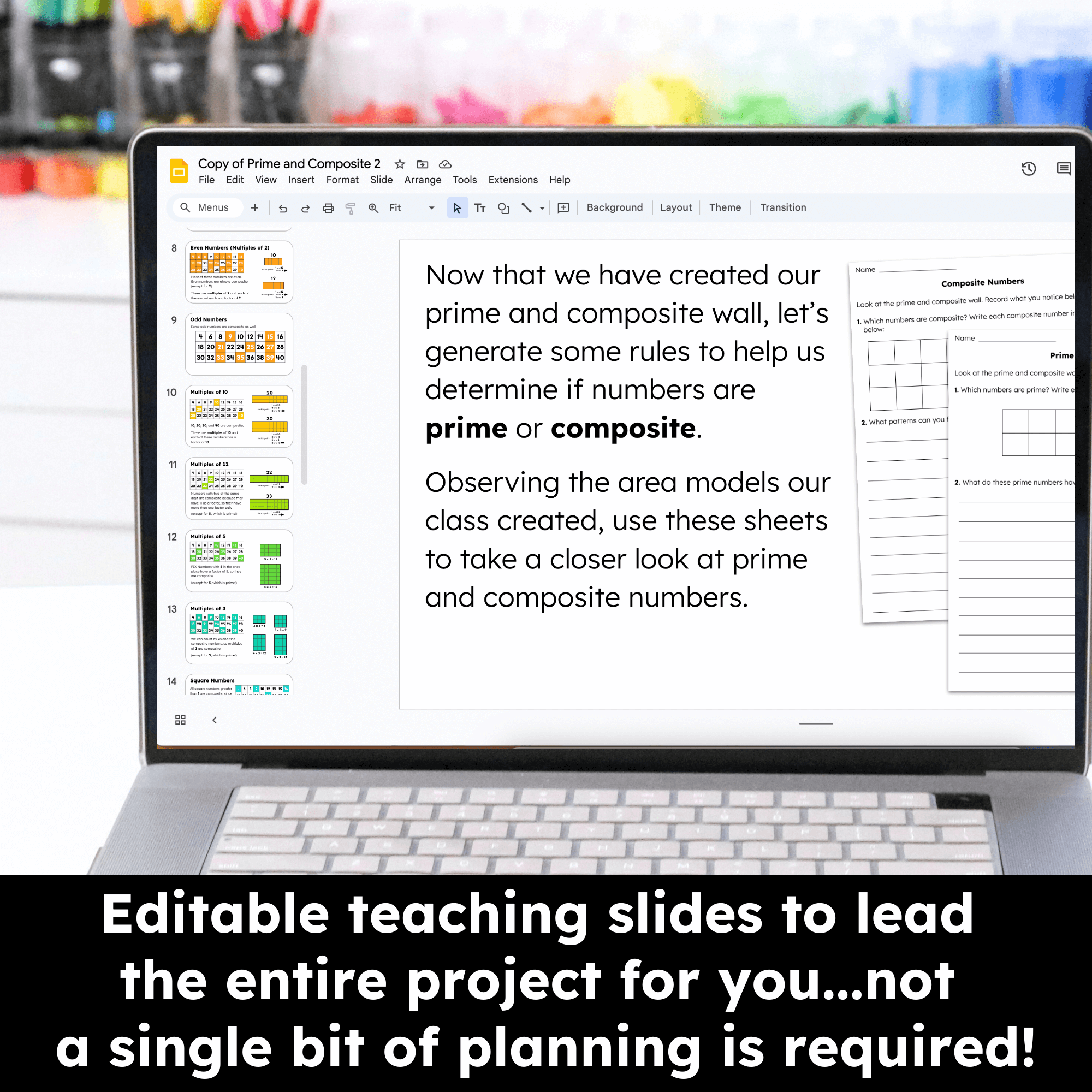 Prime and Composite Numbers Project
